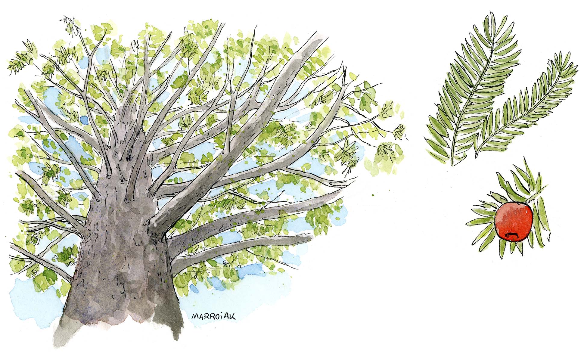 Dibujo De Rama De árbol Gruesa Un Mono Lindo Está Colgado De Una